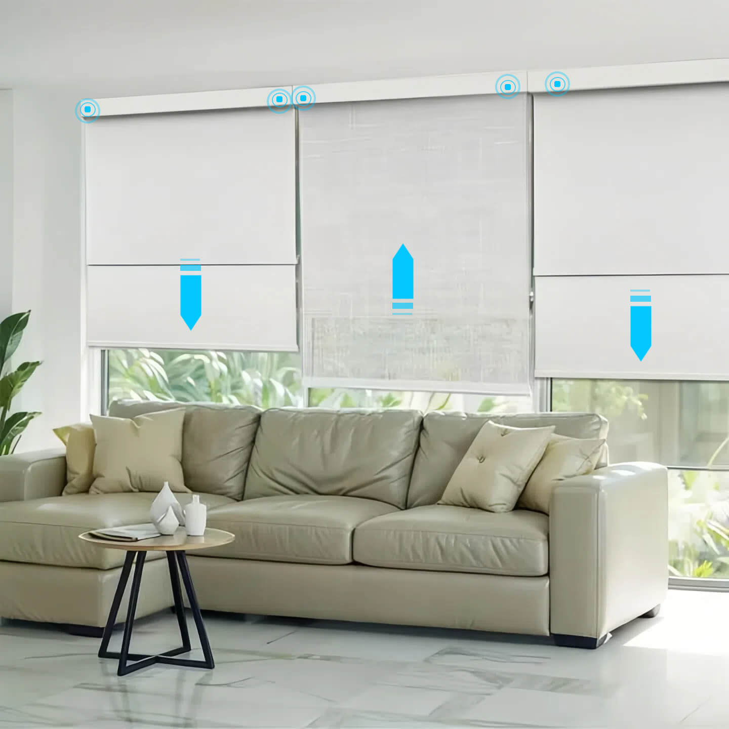 Motorized Dual Shades | Buy Smart Dual Shades